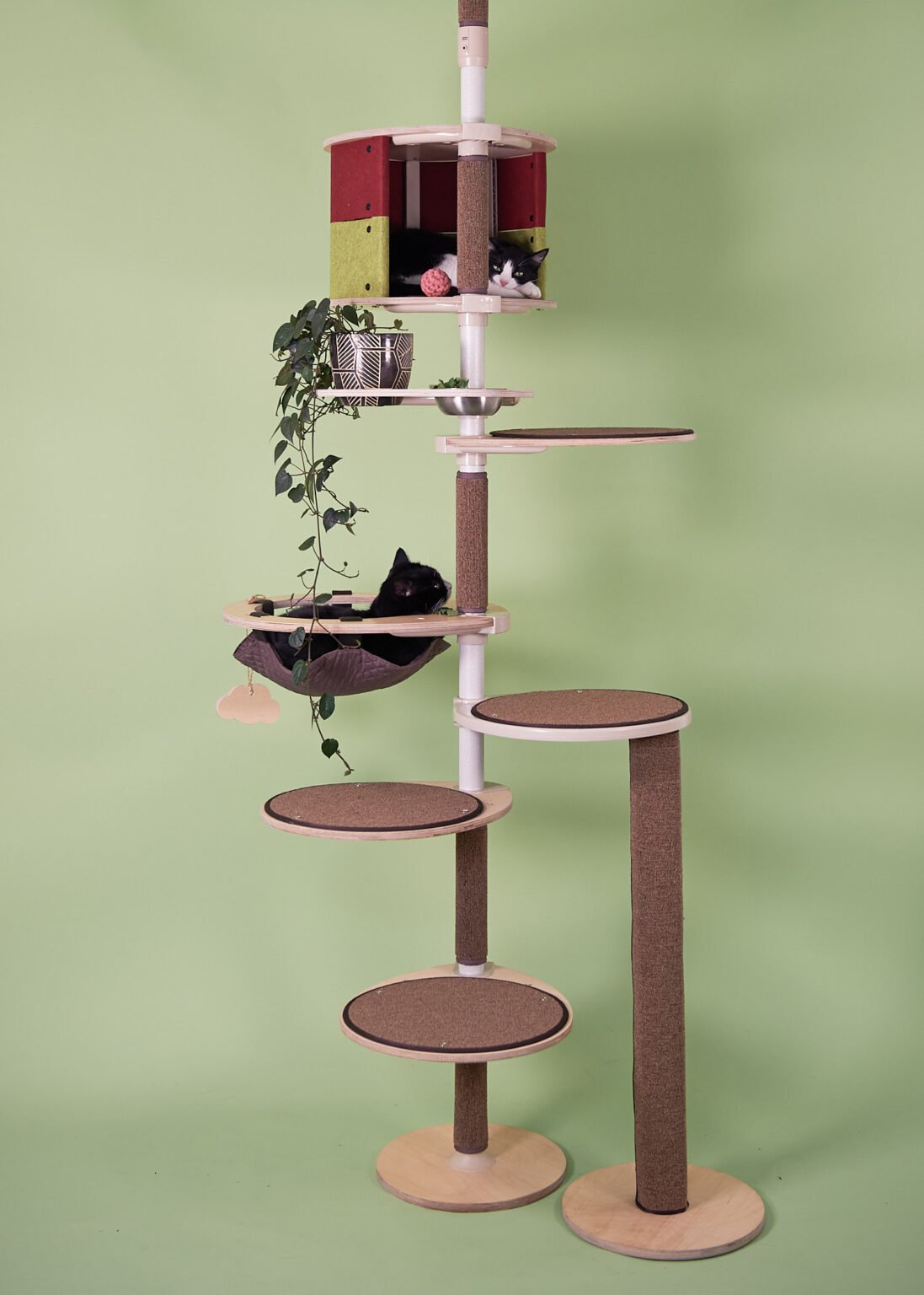 Food/Water Table for Tok Tok - Woods for Cats