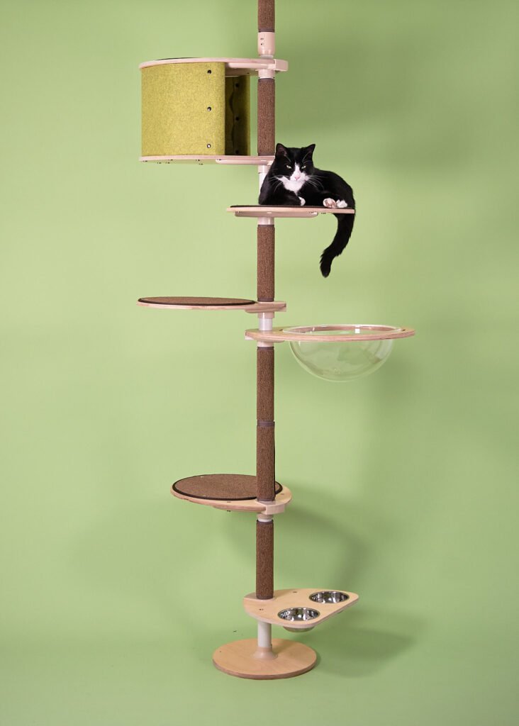 Food/Water Table for Tok Tok - Woods for Cats