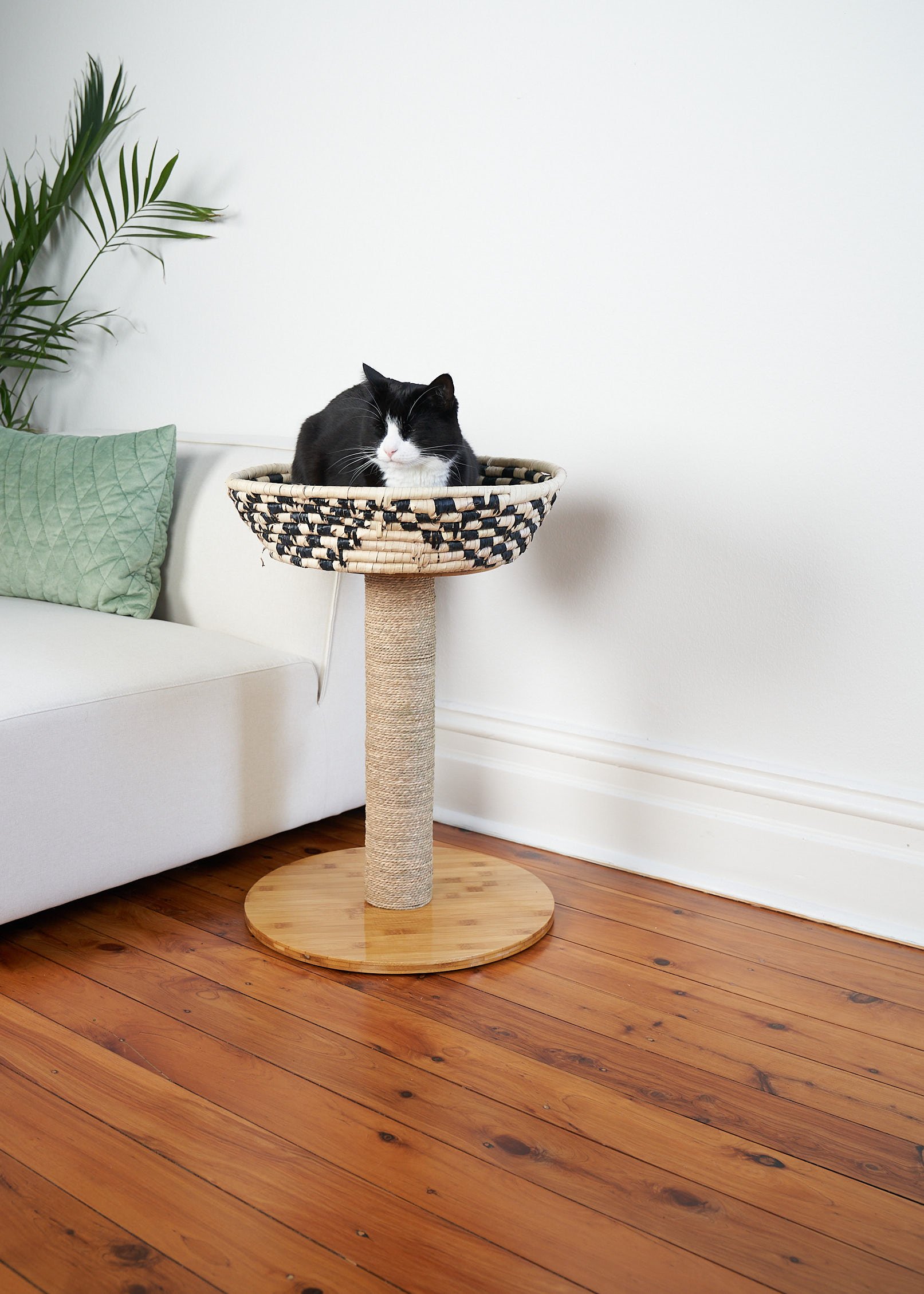 Cat Scratchers - Functional Cat Furniture - Woods For Cats