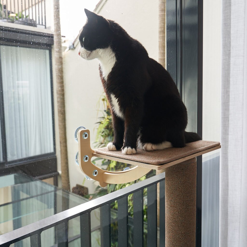 Window Cat Tree - Woods for Cats