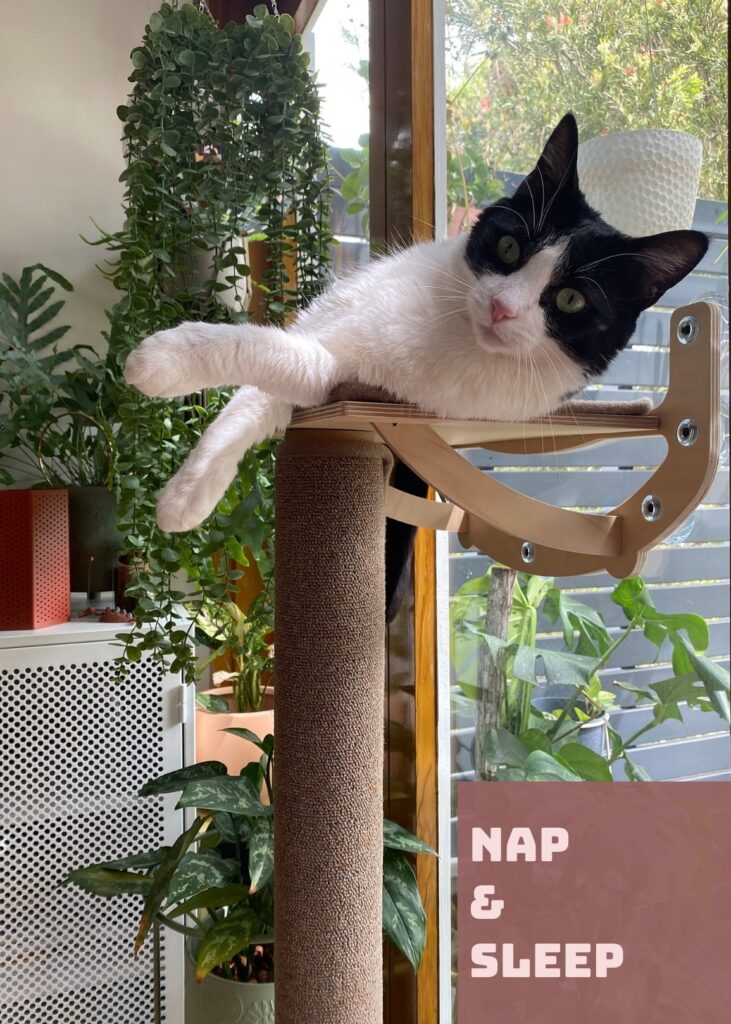 Window Cat Tree - Woods for Cats