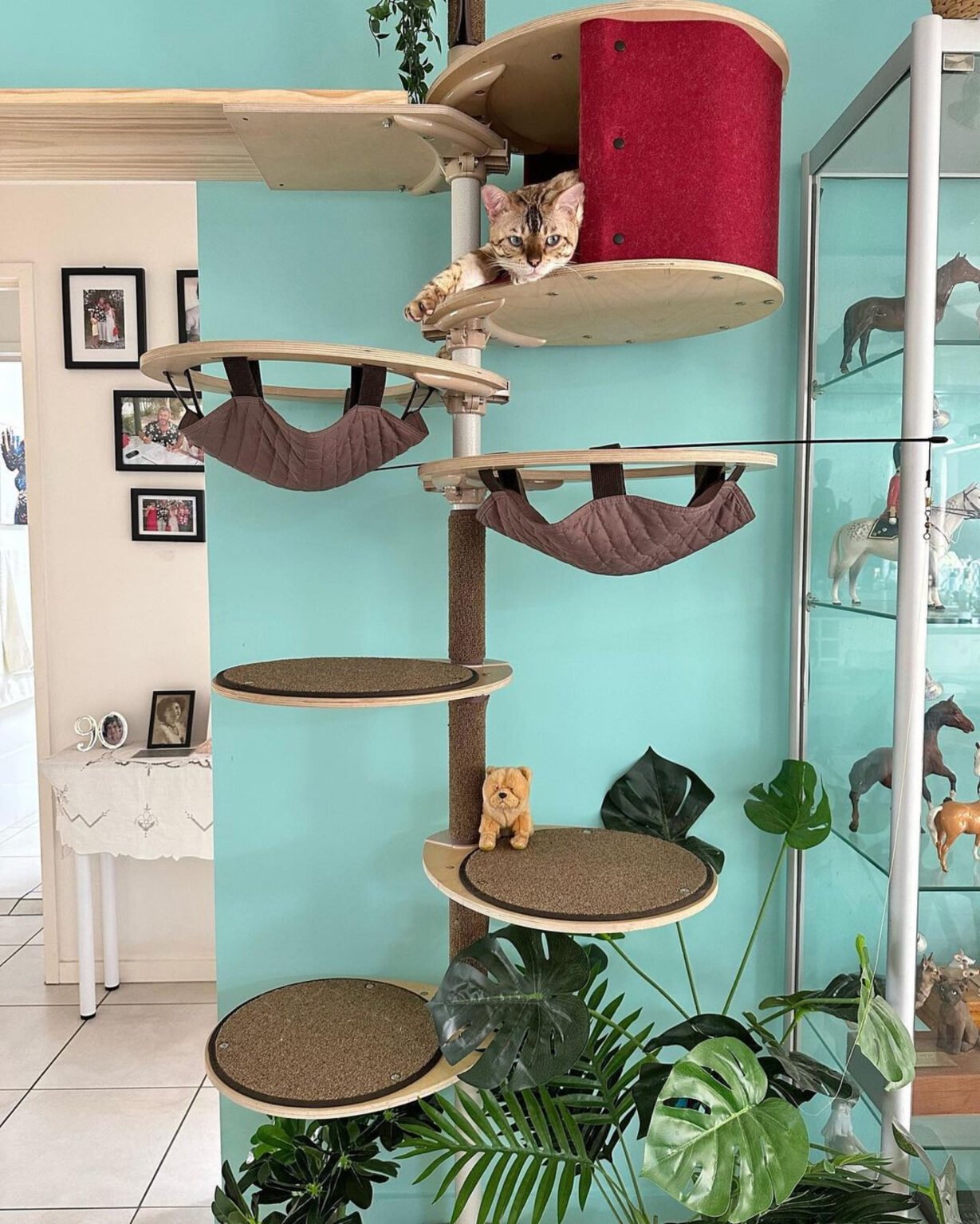 Compact cat trees for a multi-cat household