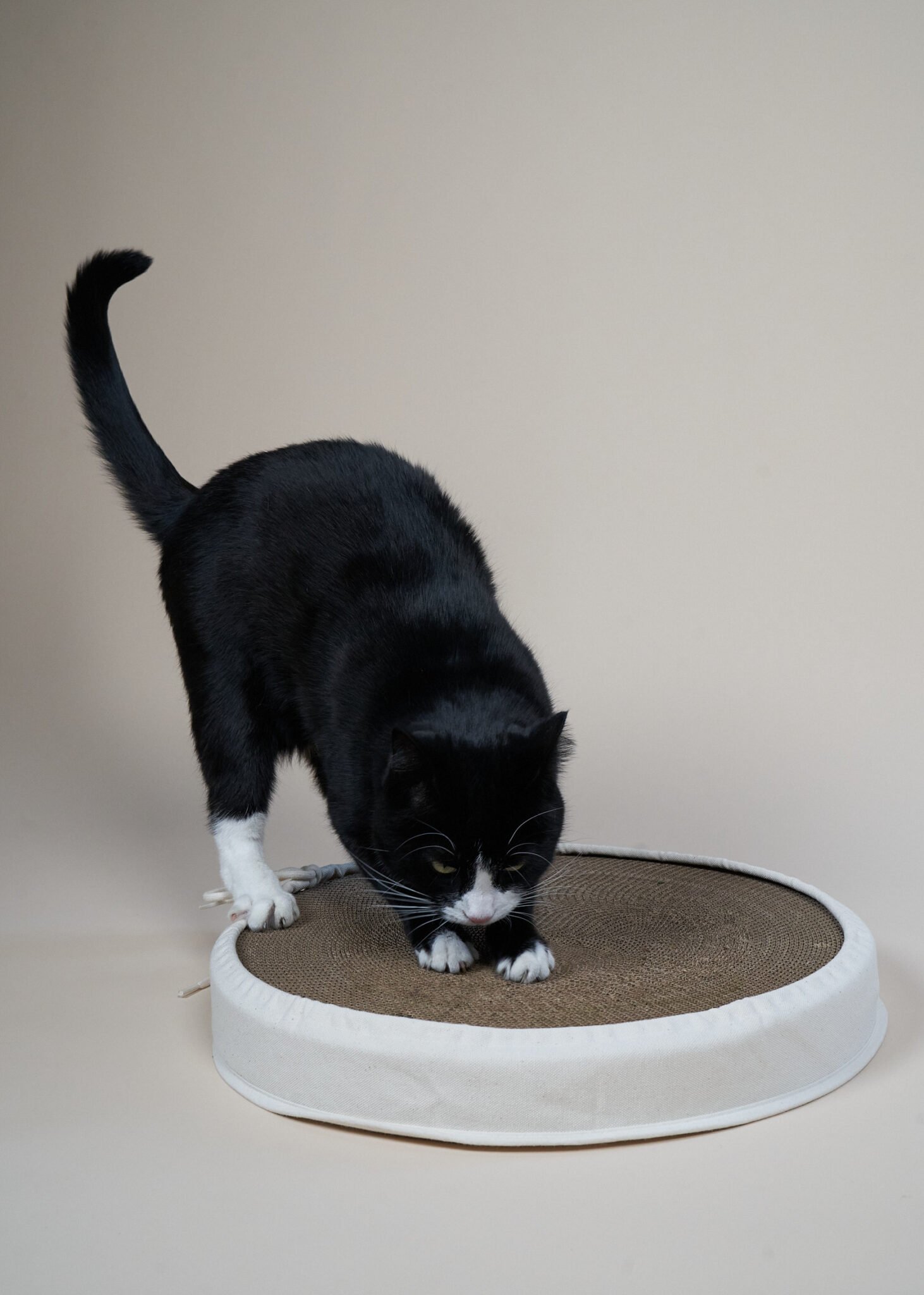 Cat Scratchers - Functional Cat Furniture - Woods For Cats