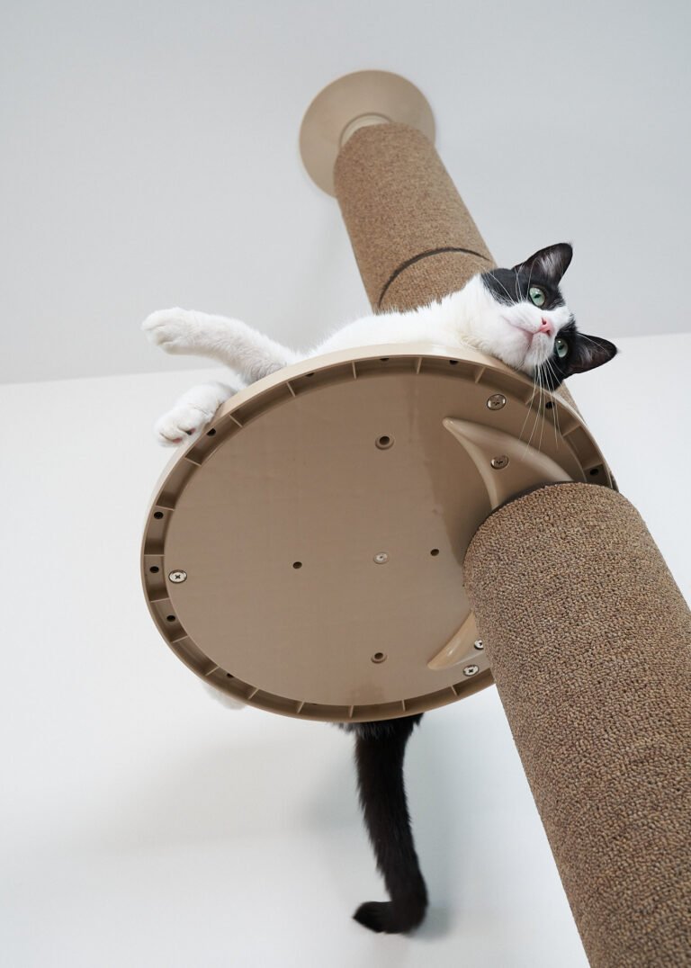 Tok Tok Cat Pole Dancer II - Woods for Cats