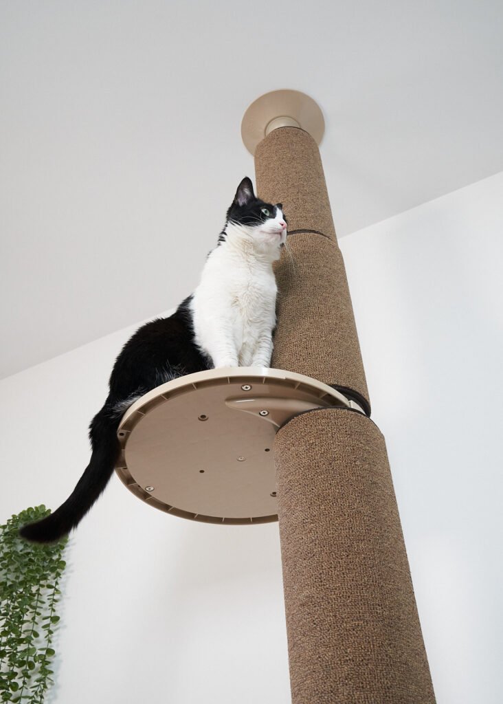 Tok Tok Cat Pole Dancer II - Woods for Cats
