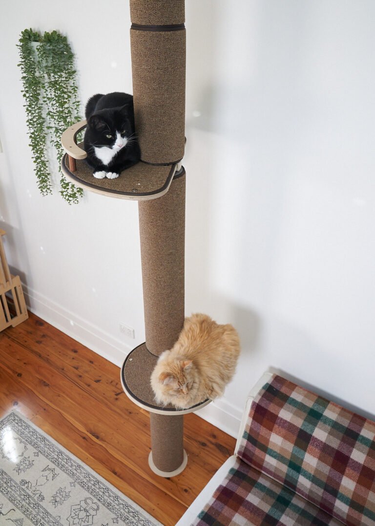 Tok Tok Cat Pole Dancer II - Woods for Cats